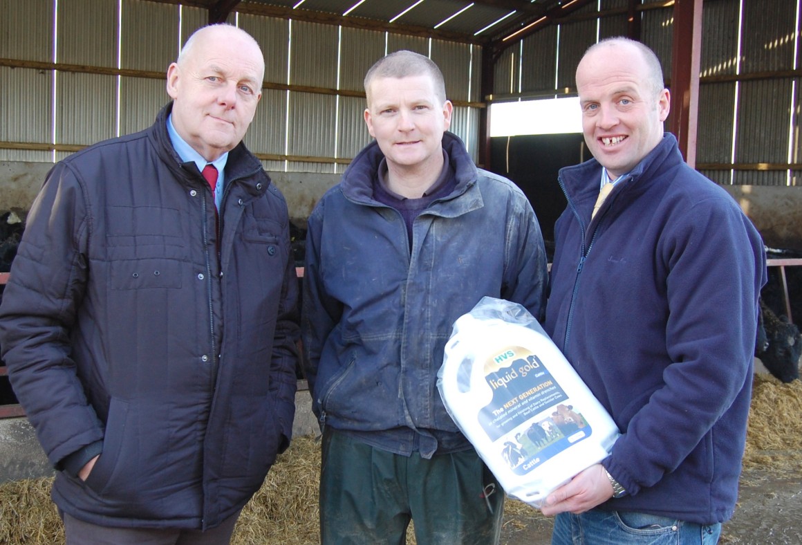 HVS Liquid Gold Cattle | HVS Animal Health